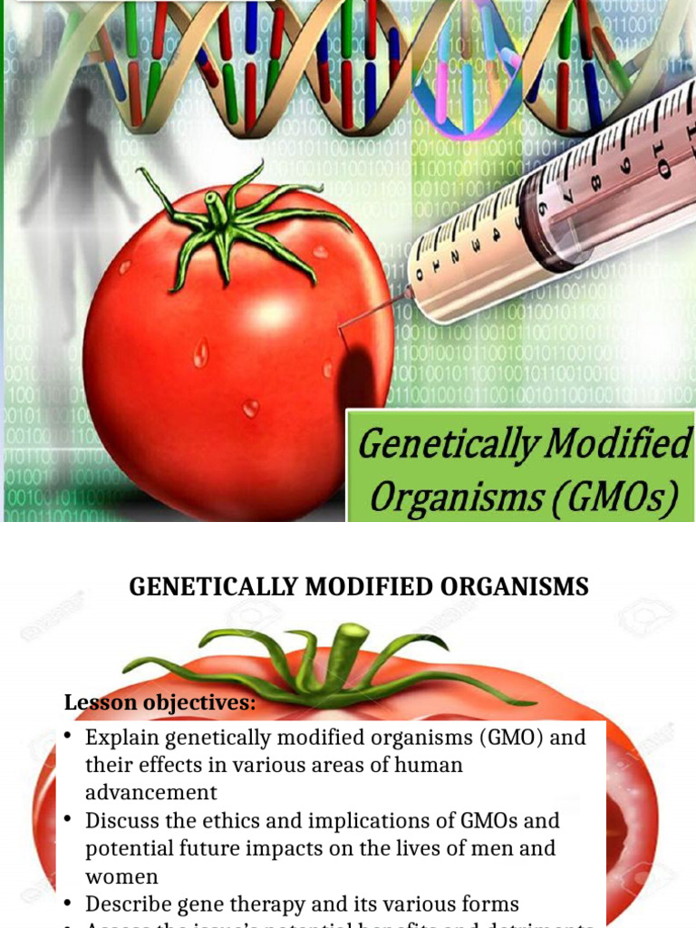STS Powerpoint Group 1 | PDF | Gene Therapy | Genetically Modified Organism