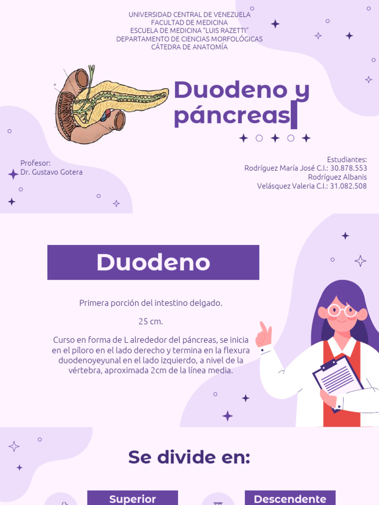 Duodeno y Páncreas-1 | PDF | Páncreas | Gastroenterología