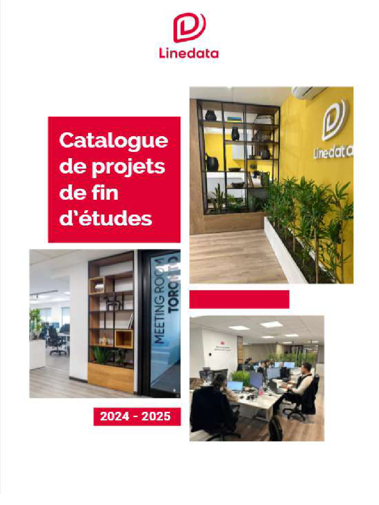 PFE Book - 2025 - Linedata | PDF