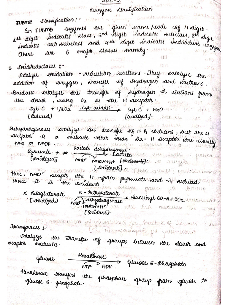 Enzyme Classification | PDF
