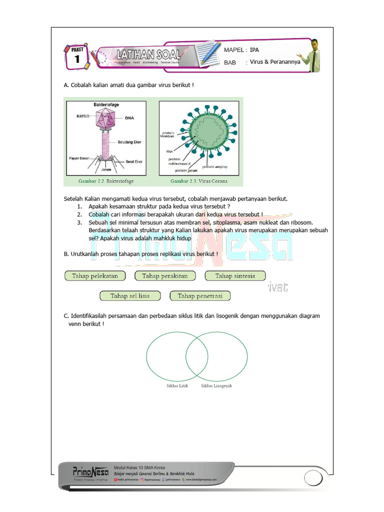 Virus: Struktur, Replikasi, dan Siklus | PDF