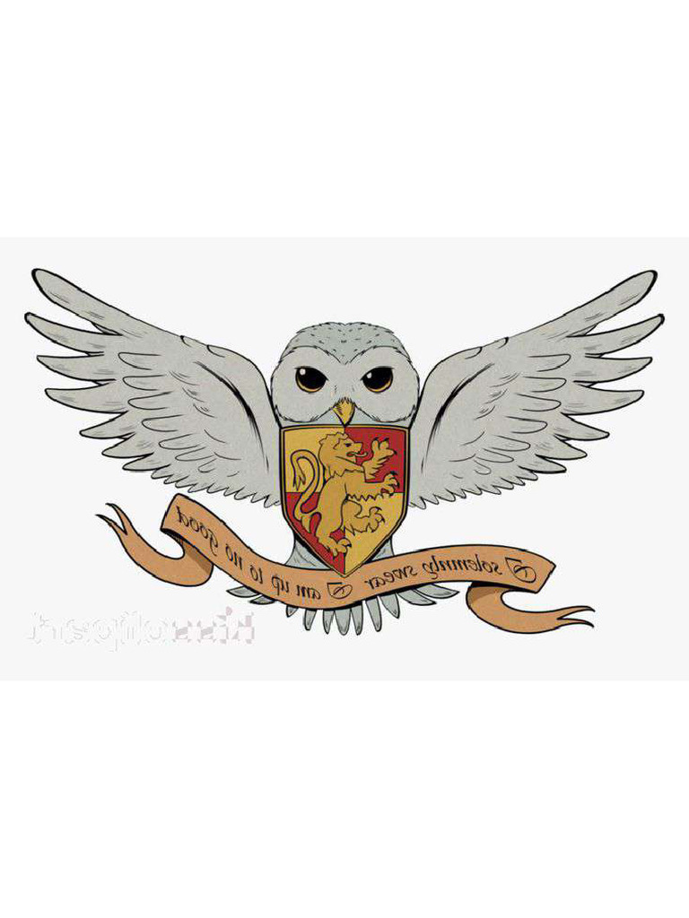 Transparent Owl Clipart - Harry Potter Hedwig Drawing, HD PNG Download ...