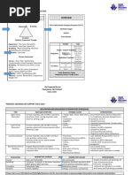 ICU One Pager Impella | PDF | Internal Medicine | Diseases And Disorders