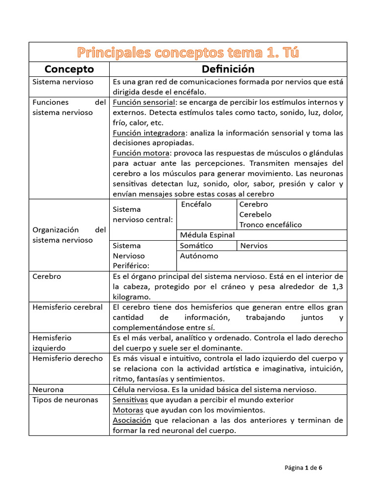 Resumen Principales Conceptos Tema 1 | PDF | Cerebro | Sistema nervioso