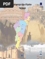 Rajasthan New 41 District Blank Map PDF | PDF