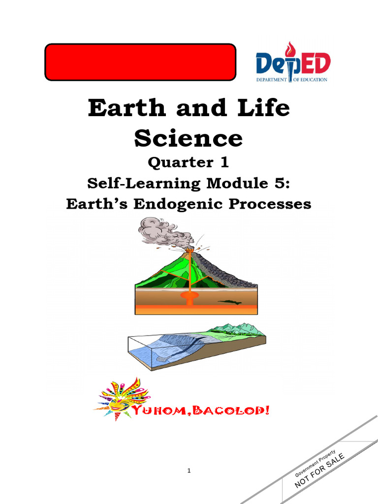 Earth's Endogenic Processes Explained | PDF | Magma | Fault (Geology)
