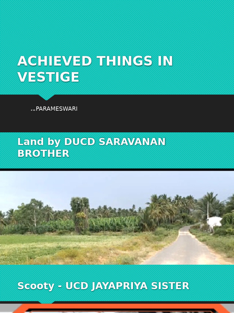 Achievers in Vestige | PDF