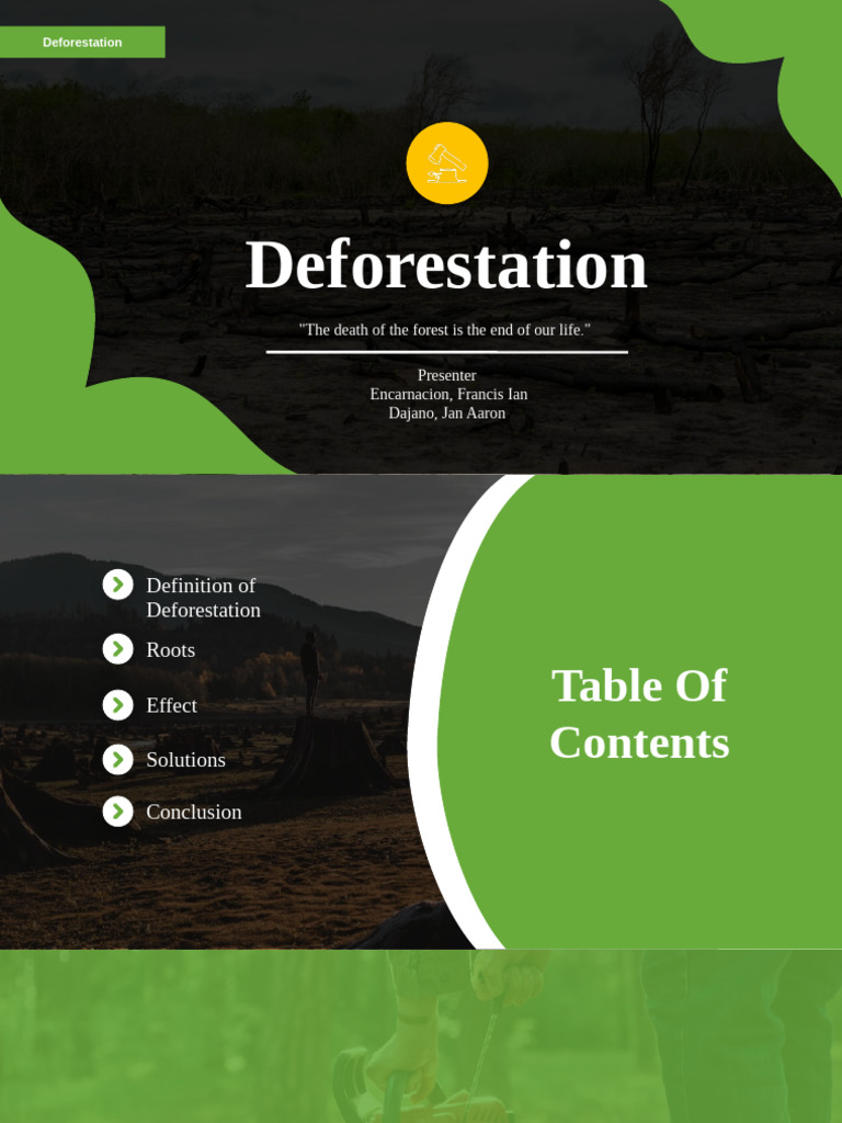 Deforestation Pdf Deforestation Logging
