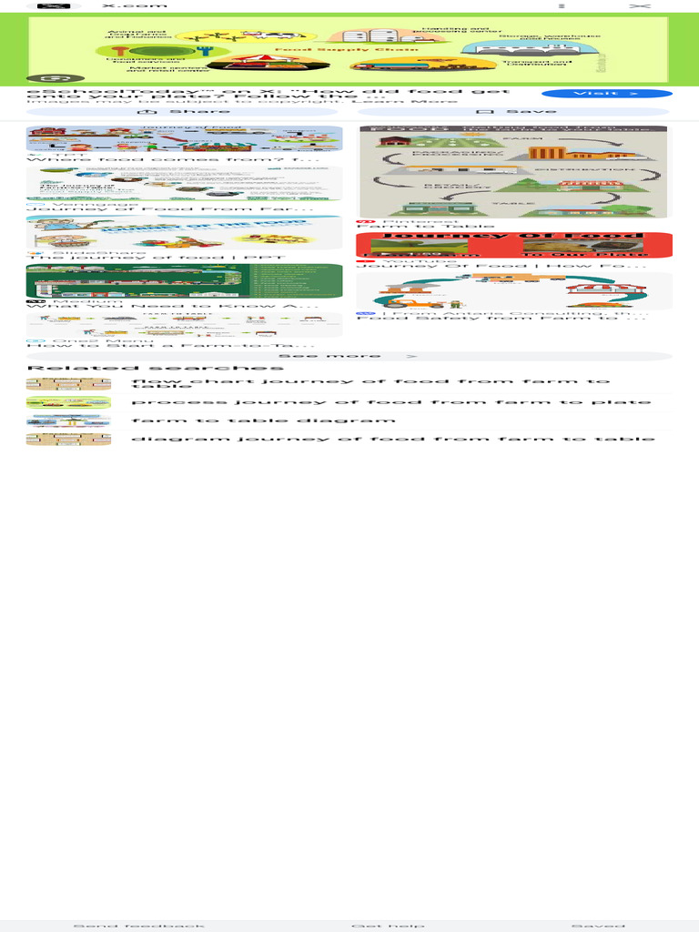 Food's Journey: Farm to Plate Explained | PDF