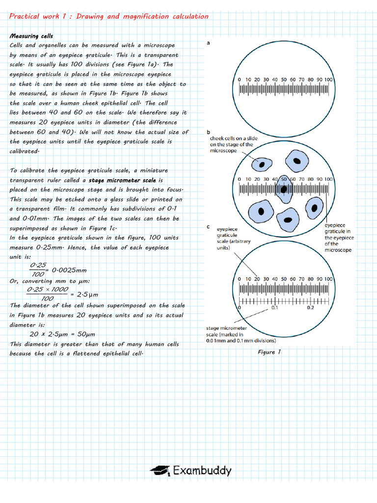 AS Practical Drawing and Representation | PDF | Significant Figures