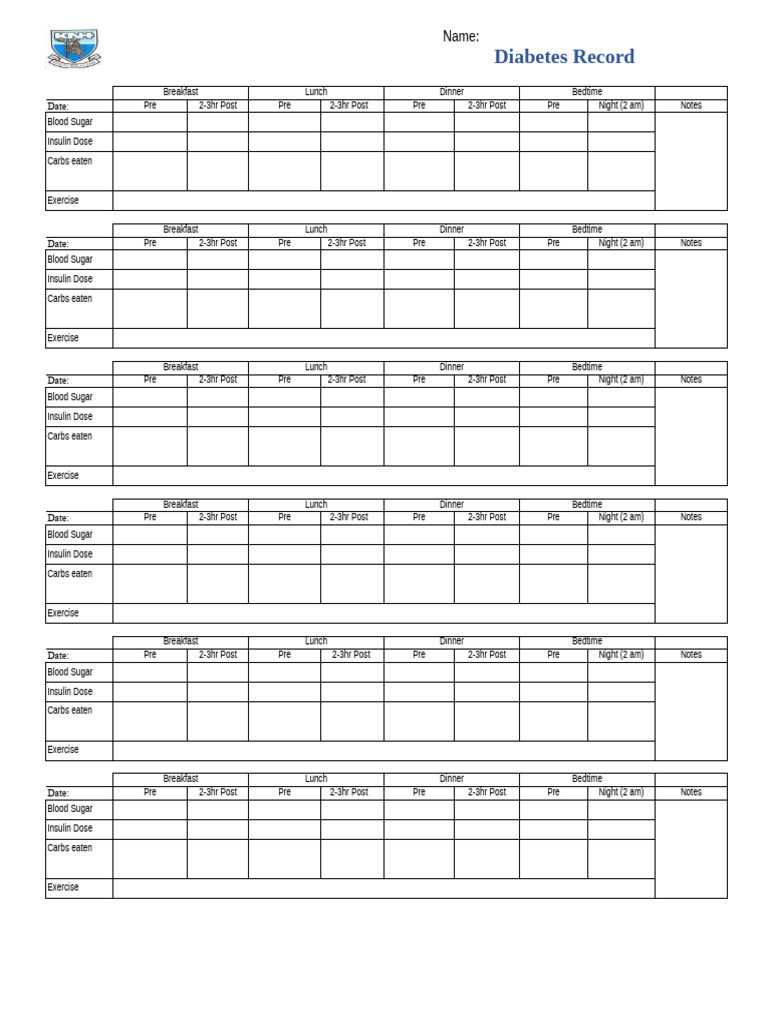 Diabetes Diary | PDF