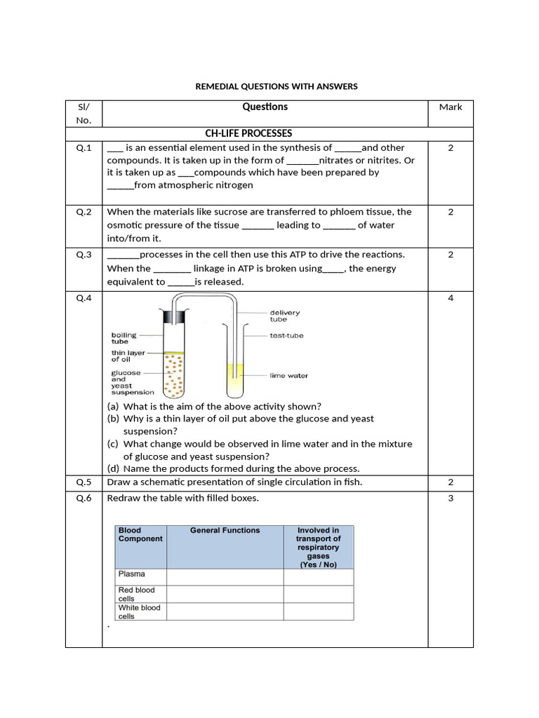 Biology Remedial Questions 2024-25 | PDF | Fertilisation | Reproductive ...