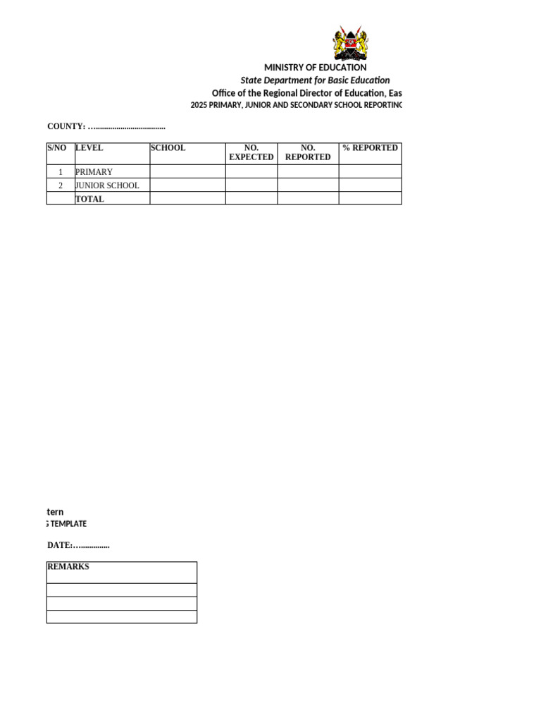 2025 Reporting Template Pry & JSS | PDF