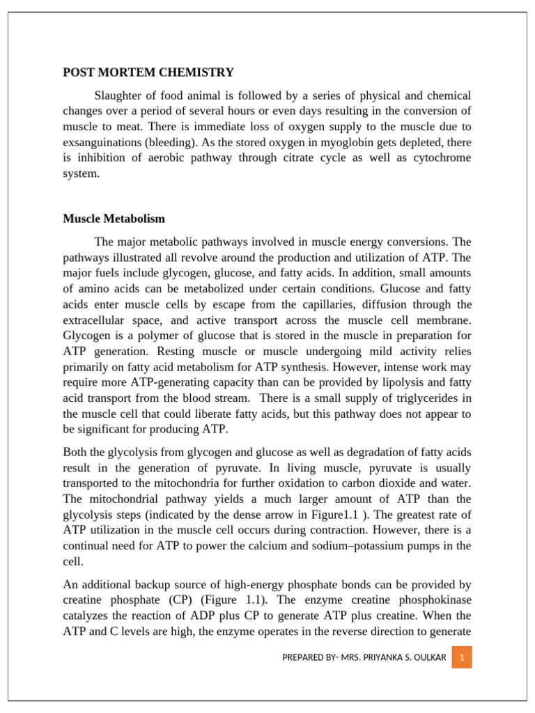 Post Mortem Muscle Chemistry | PDF | Adenosine Triphosphate | Glycolysis