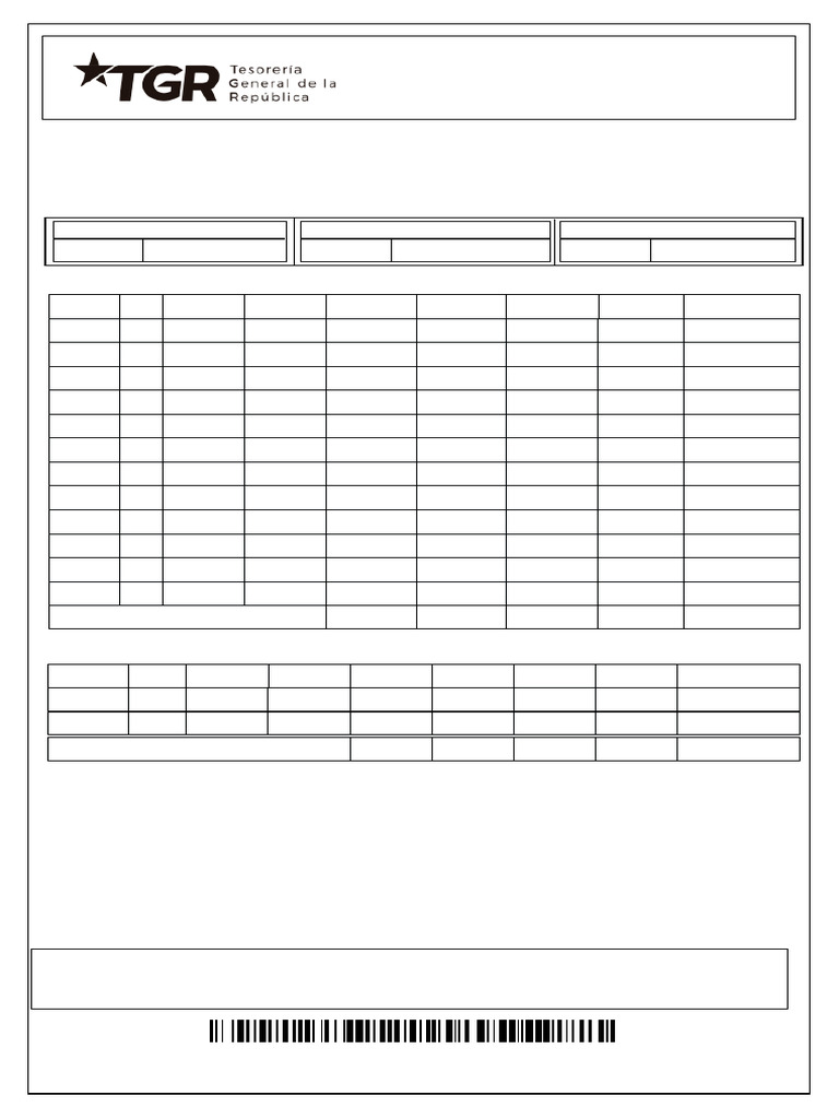Certificado de Deuda TGR | PDF
