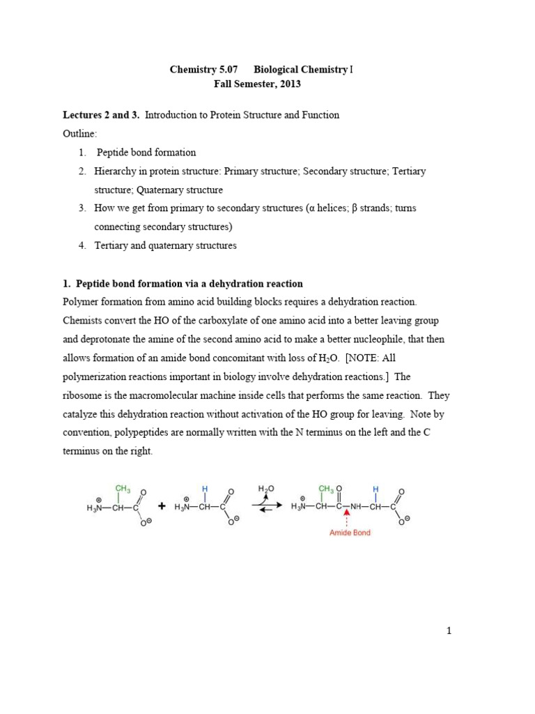 Session 2 Introduction to Protein Structure and Function | PDF | Alpha ...