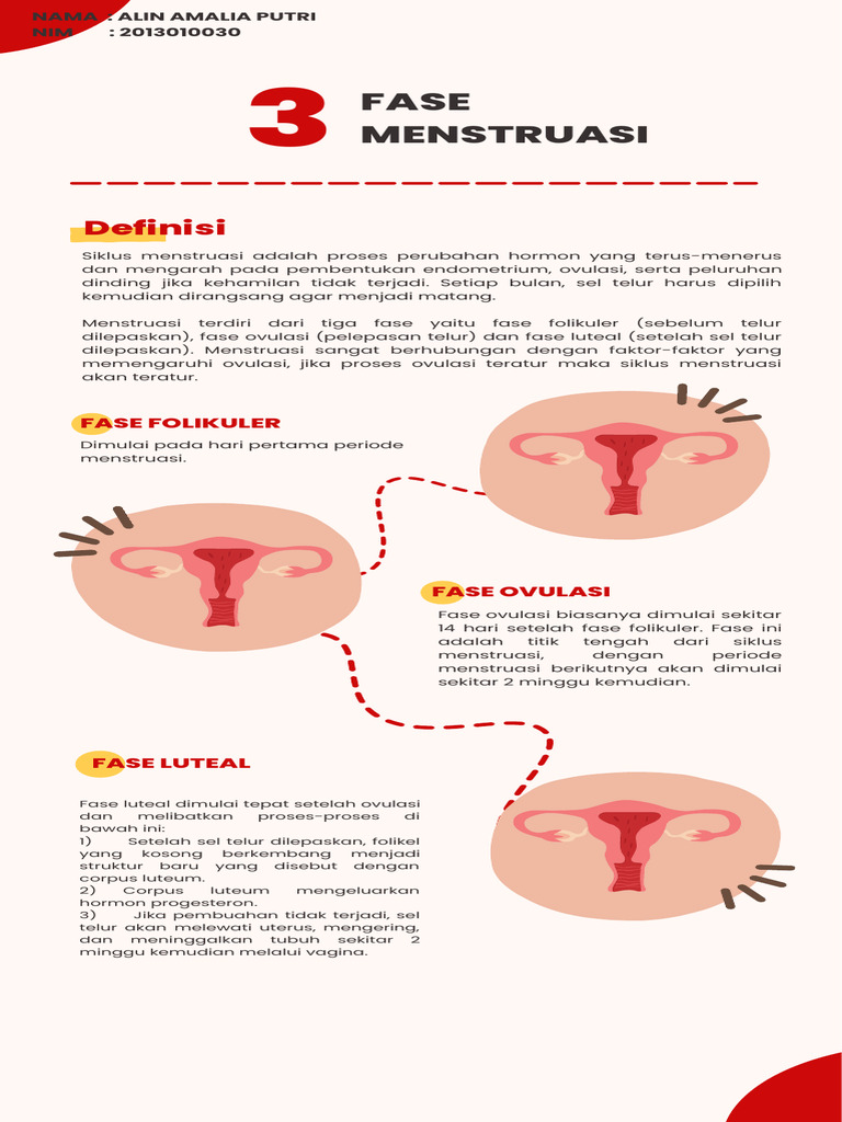 2013010030 Alin Amalia Putri - Fase Menstruasi | PDF