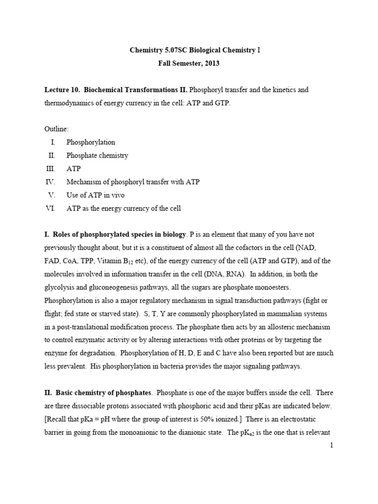 Session 6 Biochemical Transformations II | PDF | Adenosine Triphosphate | Phosphorylation