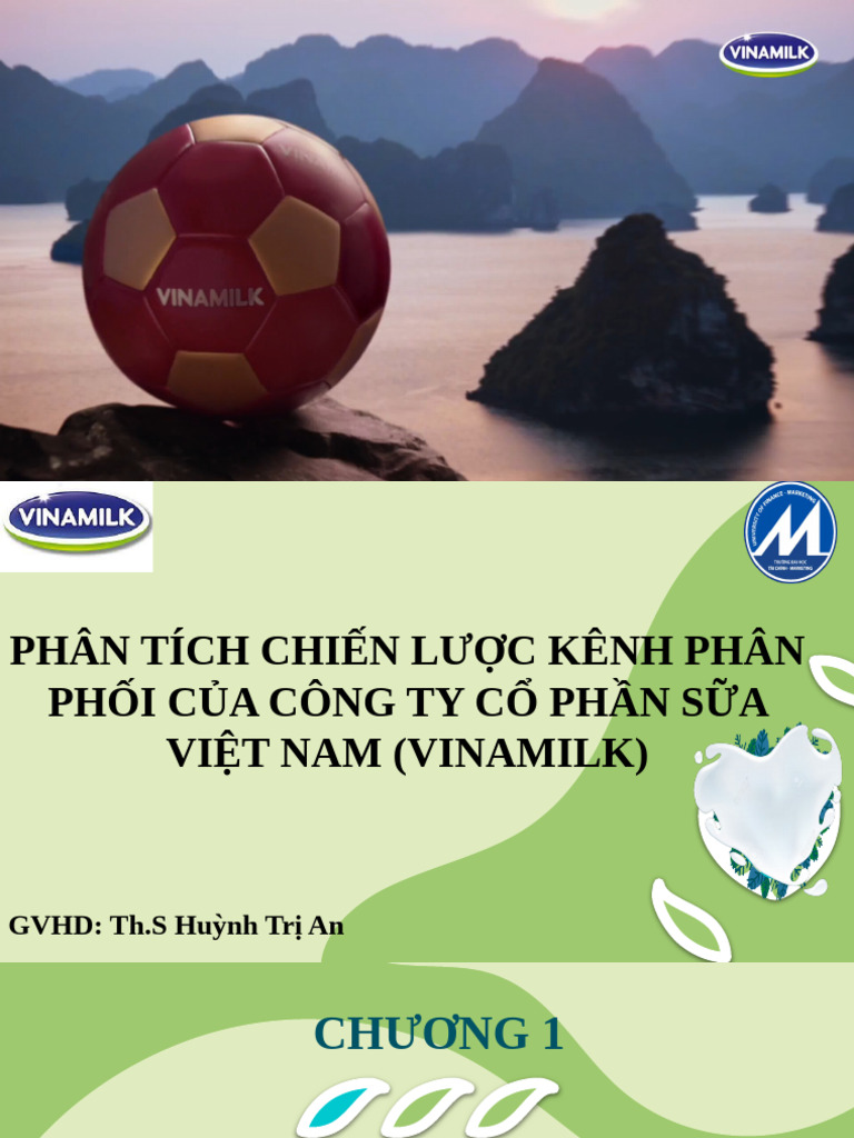 Nhóm Vinamilk (Tn Hồng Cẩm) - Quản Trị Kênh Pp Ct4 | PDF