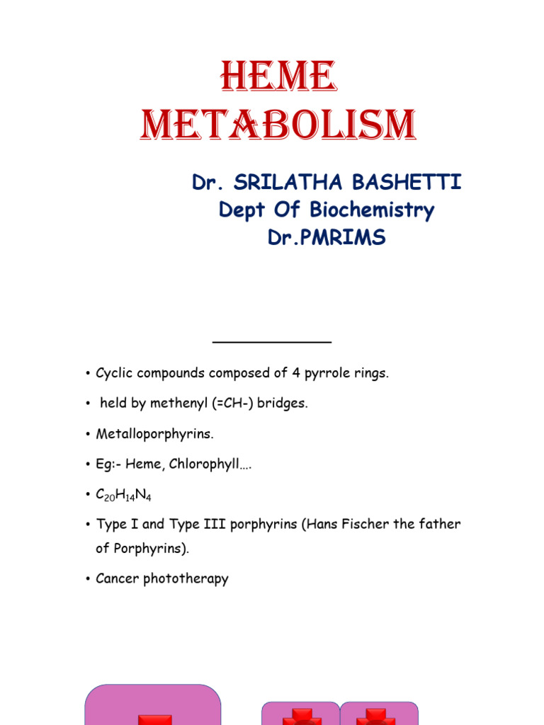 heme metabolism | PDF