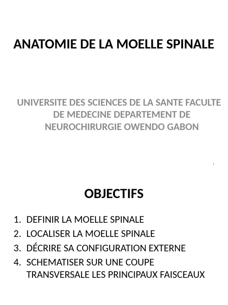 Anatomie de la moelle spinale | PDF | Moelle épinière | Nerf