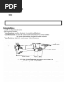 Anat Physio ORL | PDF | Oreille | Système vestibulaire