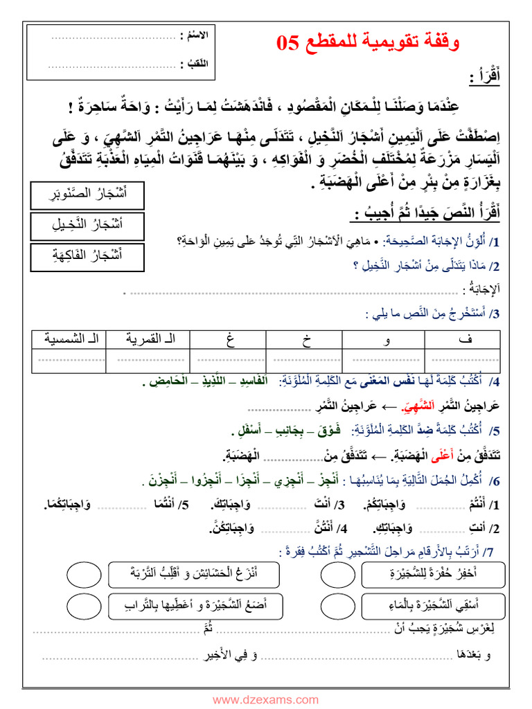 Dzexams 2ap Arabe 216034 | PDF