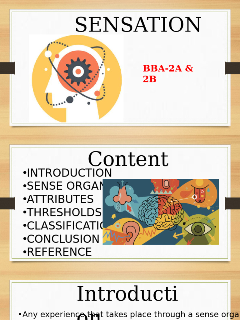 Sensation | PDF | Senses | Taste