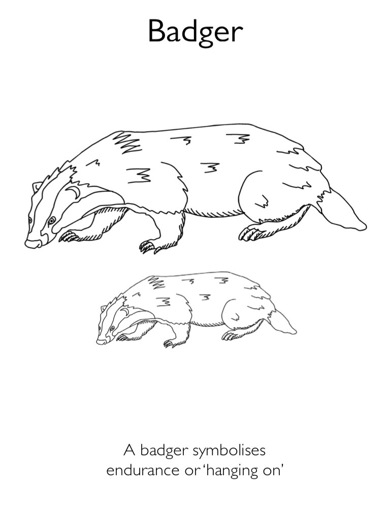 Badger Heraldry | PDF