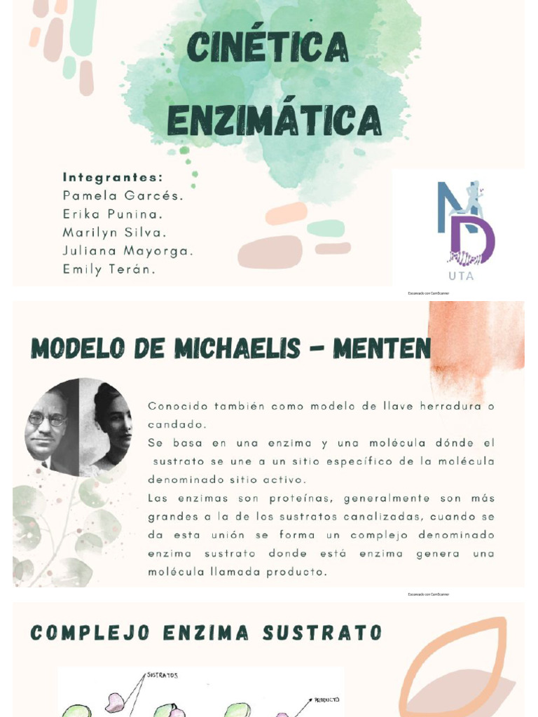 Cinética Enzimática | PDF