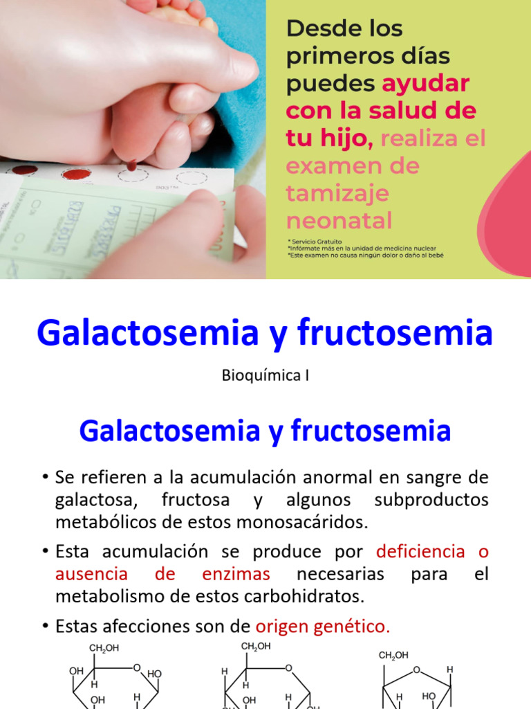 Clase 14 - Galactosemia y Fructosemia | PDF | Sacarosa