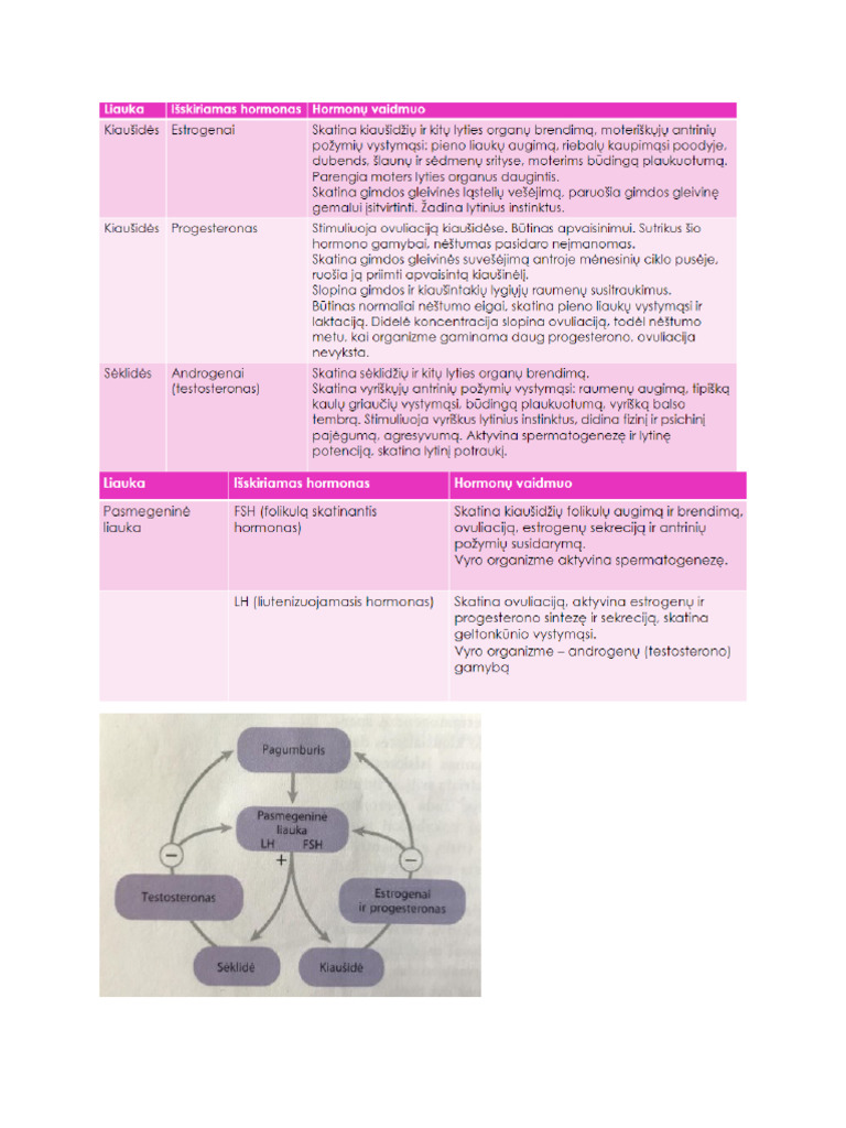 Papildomos Info Moters Ciklas | PDF