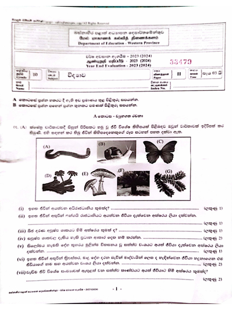 g10-science_241209_194341 | PDF