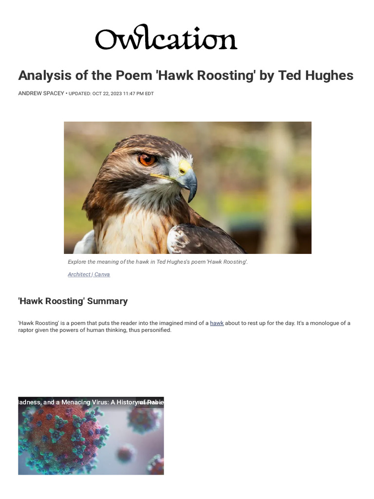 Analysis of The Poem 'Hawk Roosting' by Ted Hughes - Owlcation | PDF