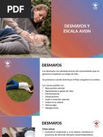 10SP-Desmayos y Escala AVDN | PDF | Medicina | Enfermedades y ...
