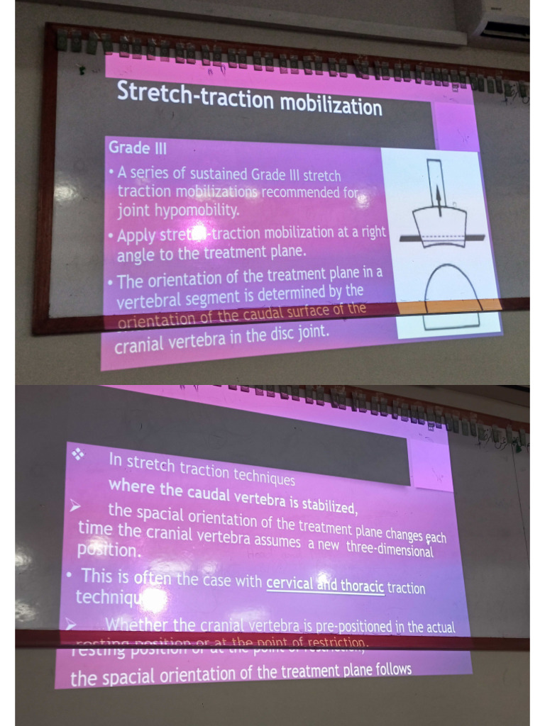 Ch5Stretch Traction Mobilization | PDF