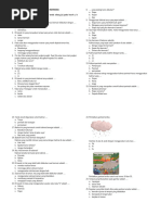 JUKNIS PKL TAHUN 2024 | PDF