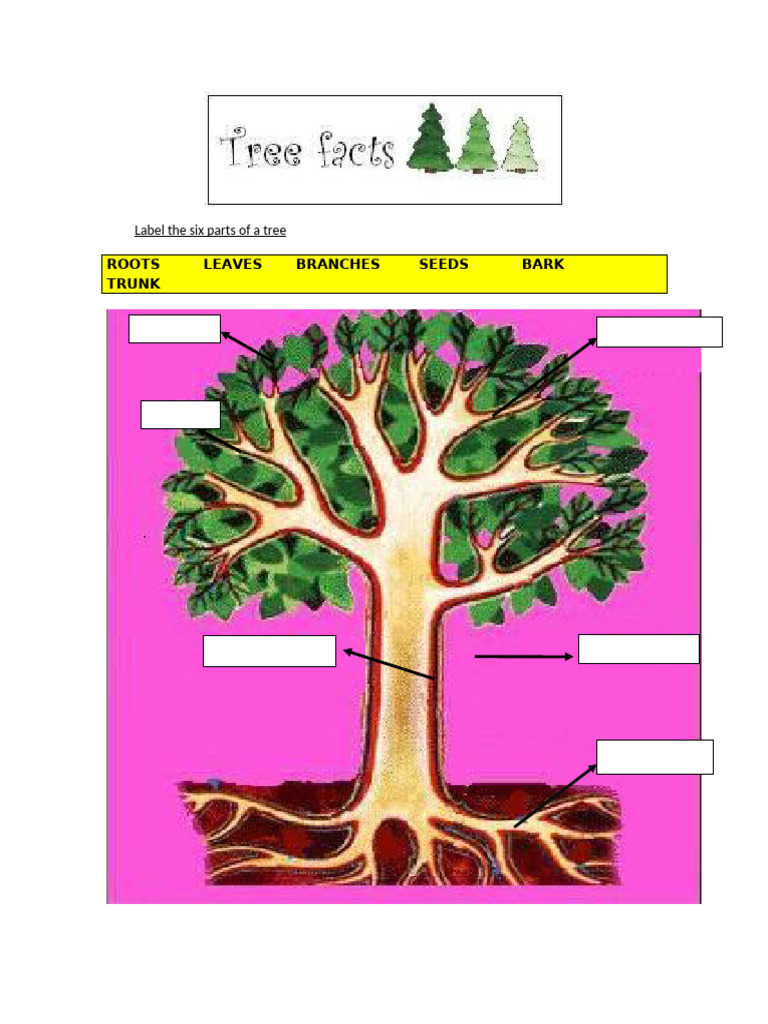 Deforestation 2 Fun Activities Games 1023 | PDF