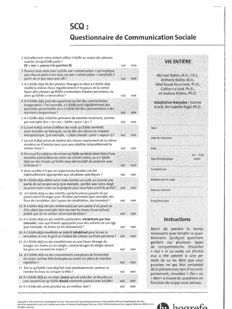 SCQ Questionnaire Cotation | PDF
