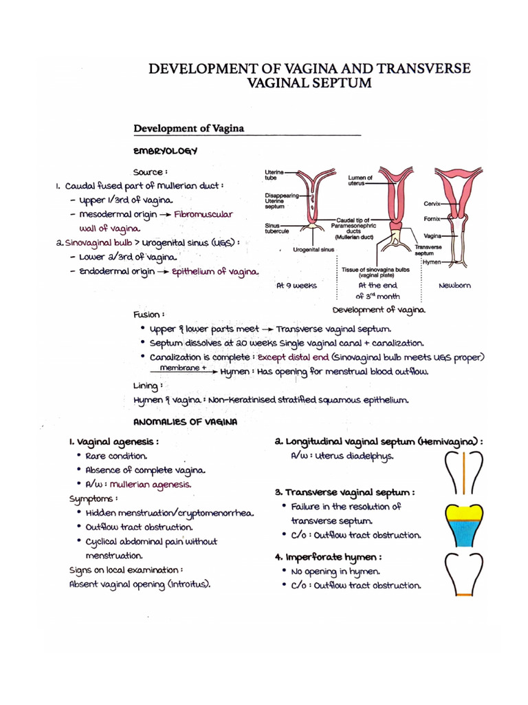 Obgyn Vol 1 Ed8 @marrow - Notes - Bot | PDF