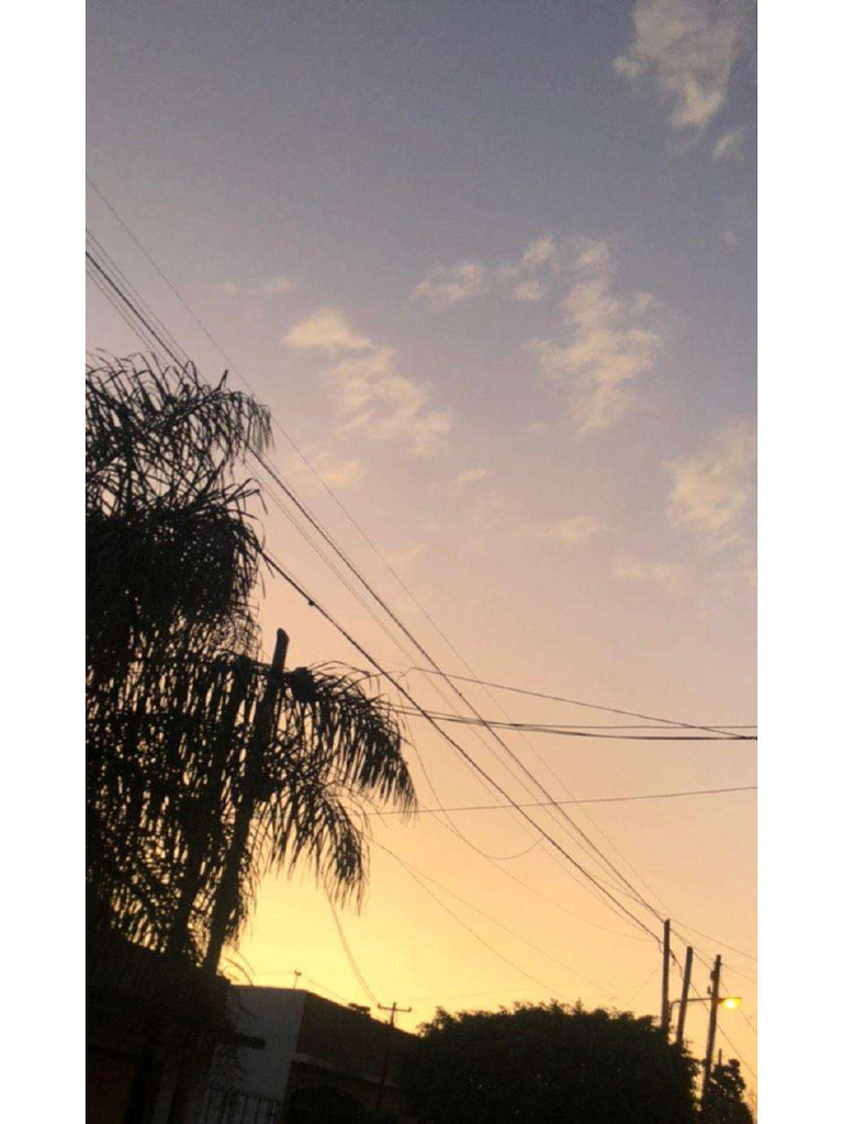 IMG_20241231_162524_604 | PDF