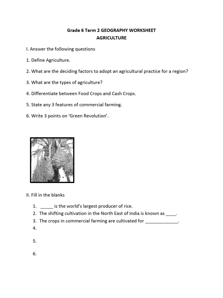 Grade 6 Agriculture Worksheet | PDF | Agriculture | Intensive Farming