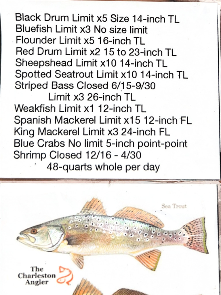 Bag Limits | PDF