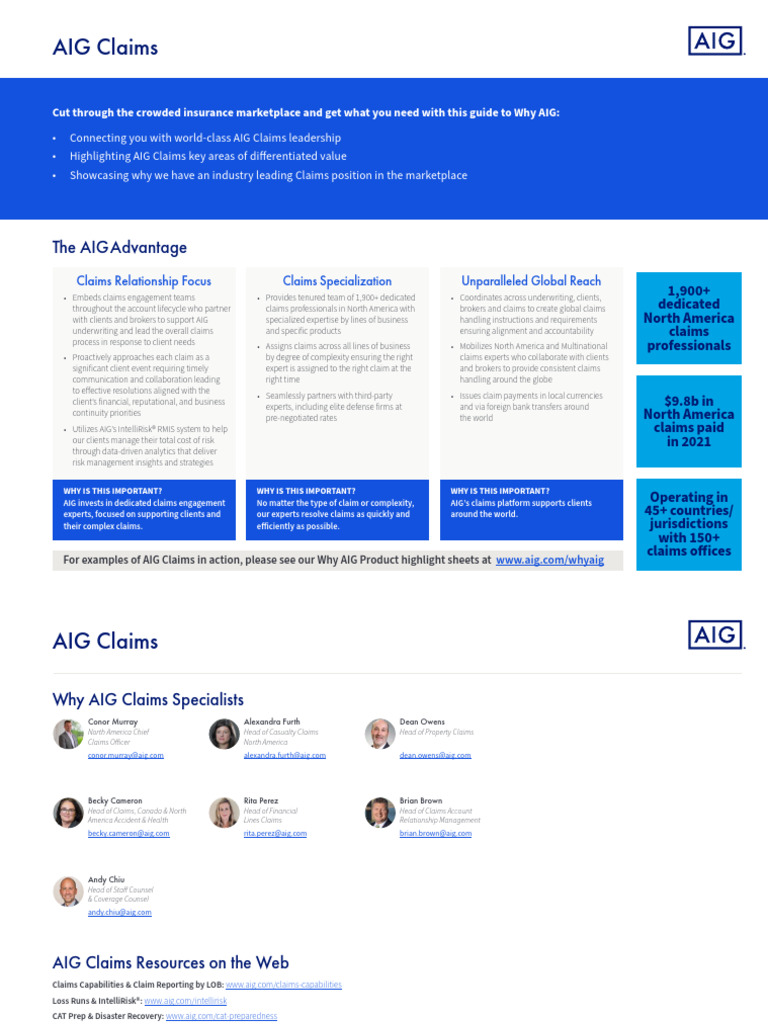 Aig Claims Highlight Sheet - Pdf.coredownload | PDF | American ...