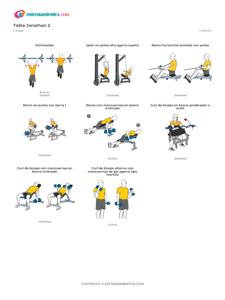 Día 2 - Espalda - biceps | PDF