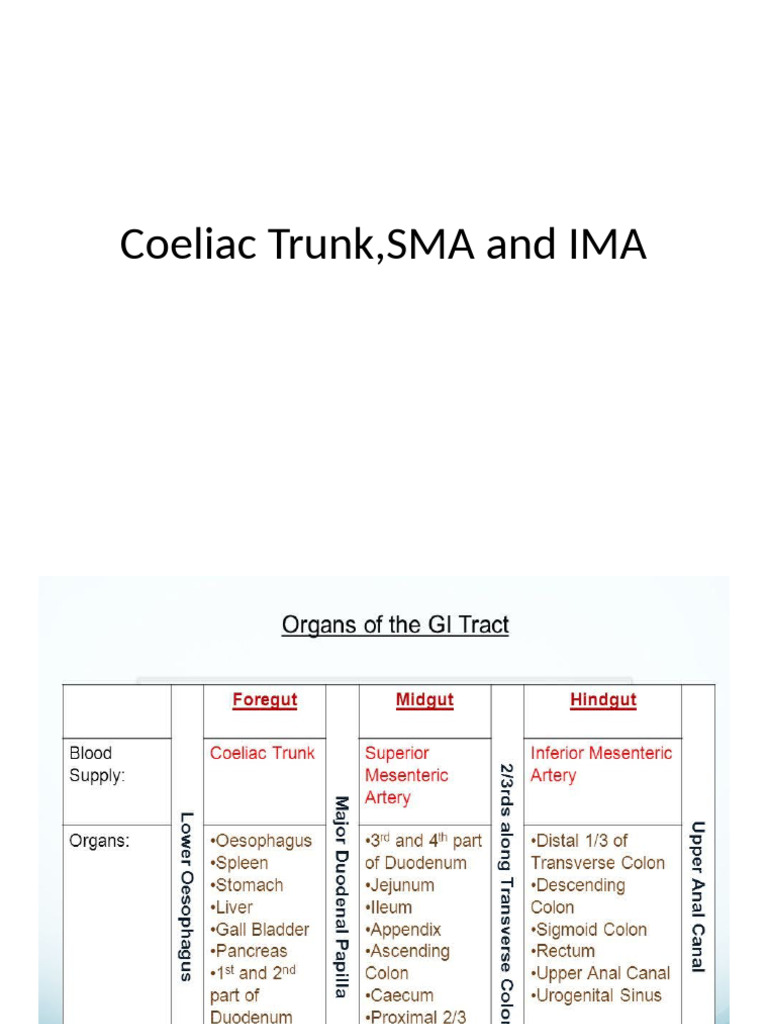 Coeliac Trunk,SMA and IMA | PDF | Abdomen | Angiology