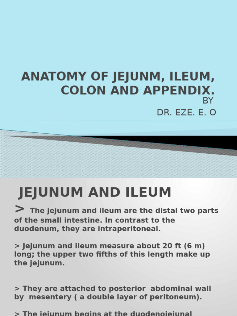 Anatomy of Jejunum, Ileum, Colon, Appendix | PDF | Large Intestine ...