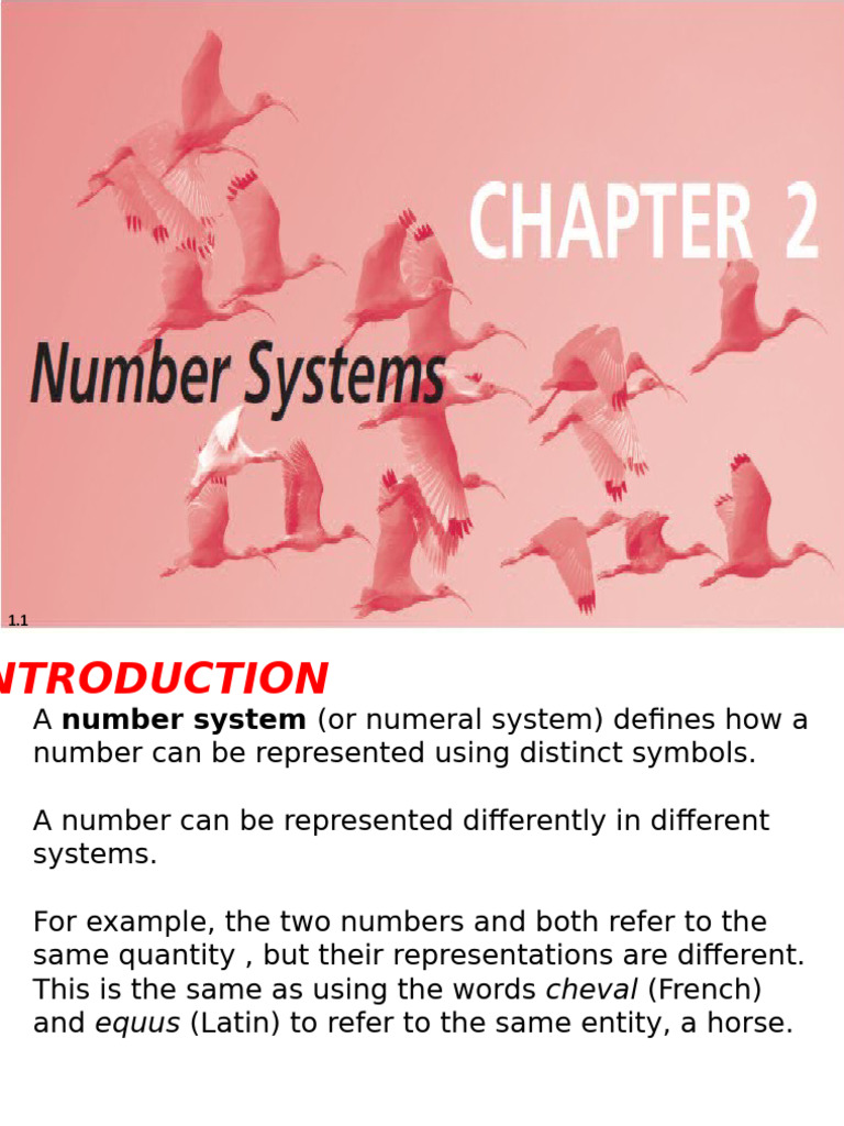 Understanding Number Systems | PDF