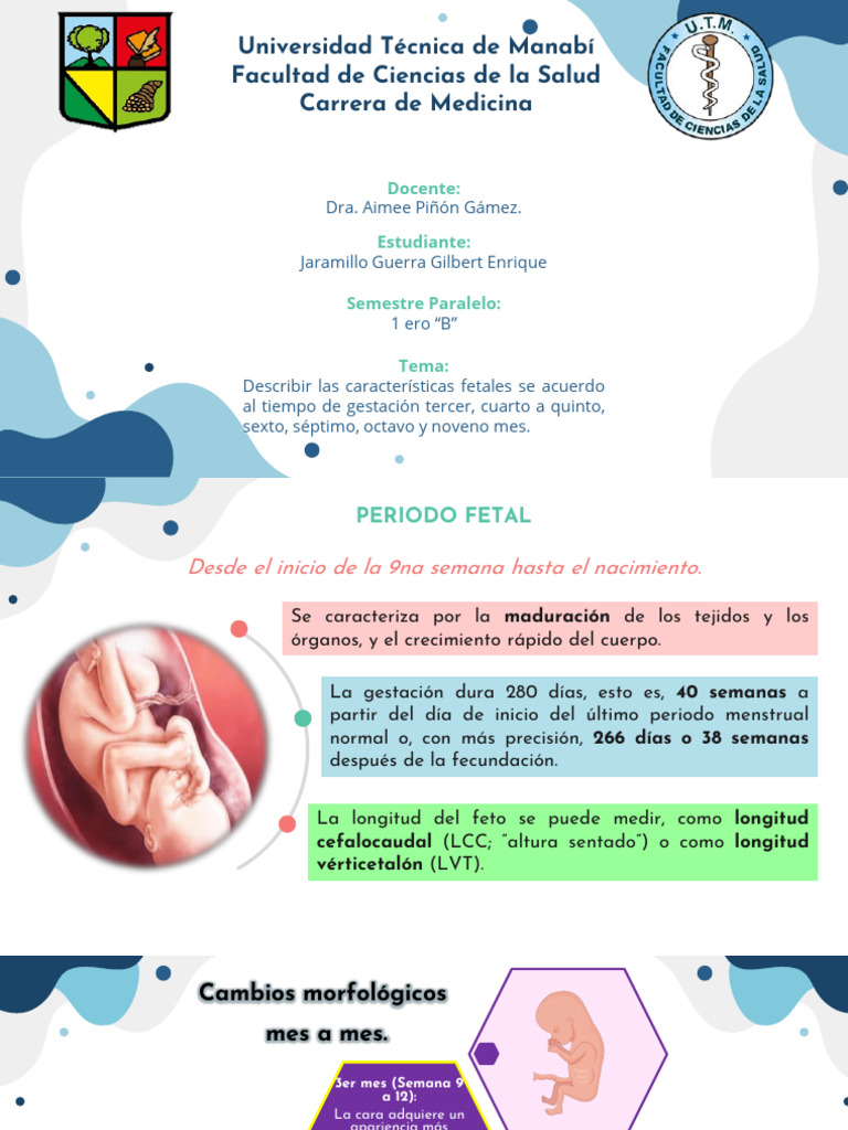 Características fetales del 4 al 9 mes. | PDF | Feto | Placenta