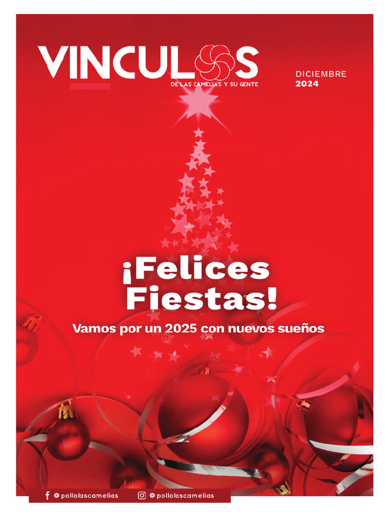 Vin Culo s Diciembre 2024 | PDF | Humedad | Análisis de Riesgo y Puntos Críticos de Control